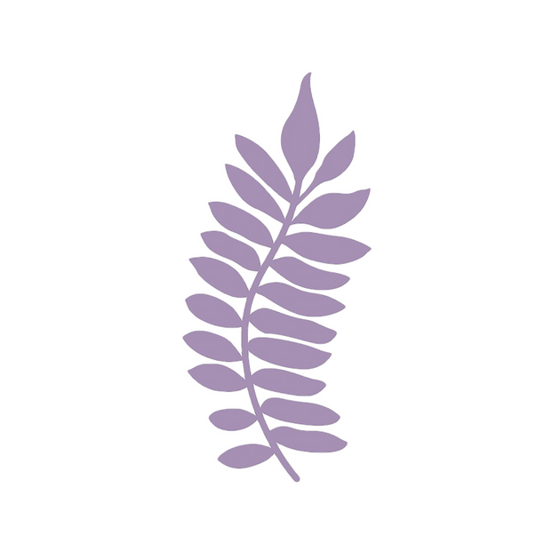 Staff Picks – Jacaranda Books